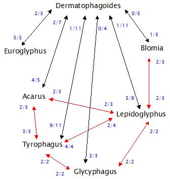 Les acariens - AllerData - le site de l'allergologie moléculaire.